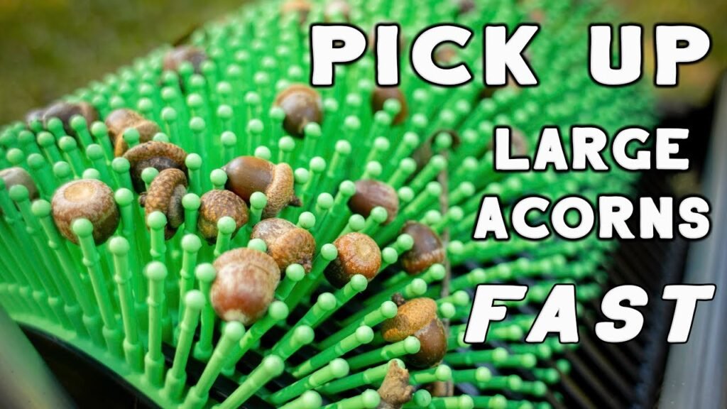 Best Way to Pick Up Acorns • The Truck How